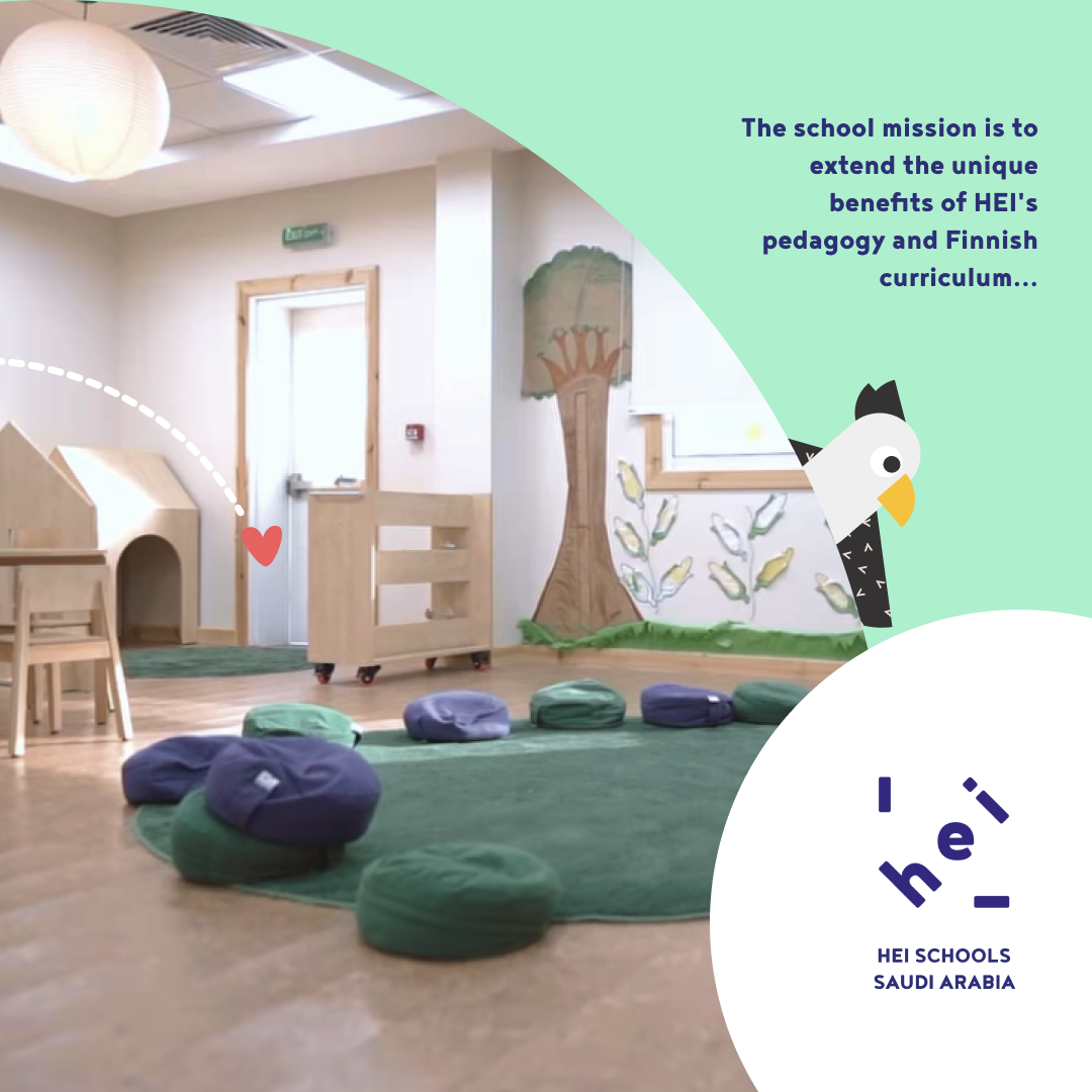 HEI Schools Case Studies